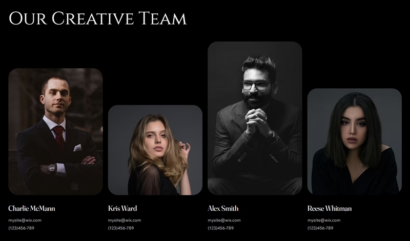 Wix Black & Shine Website Template